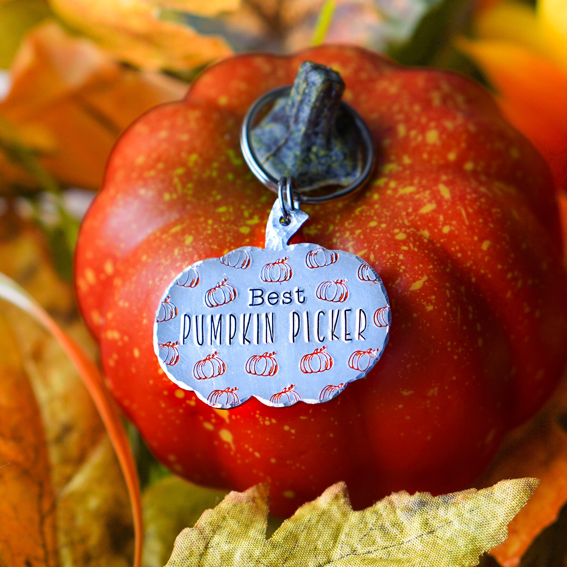 Best Pumpkin Picker – By Alice and Hector